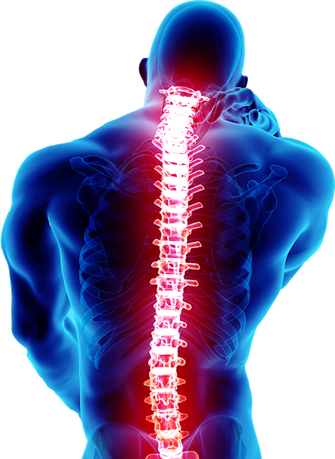 Spinal Decompression Therapy for Back & Neck Pain Relief | All Seasons ...