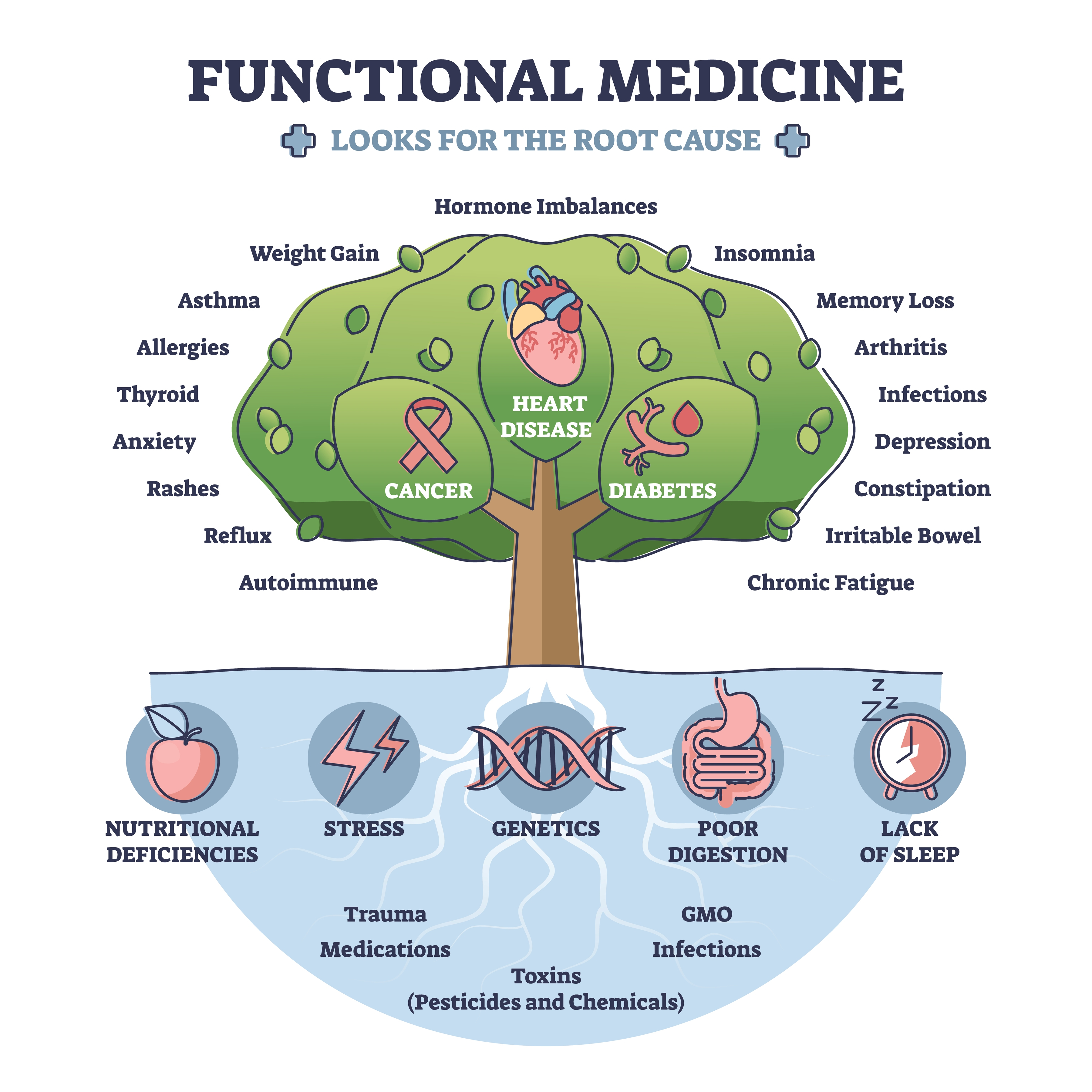 What Is Functional Medicine? A Root-Cause Approach to Healing